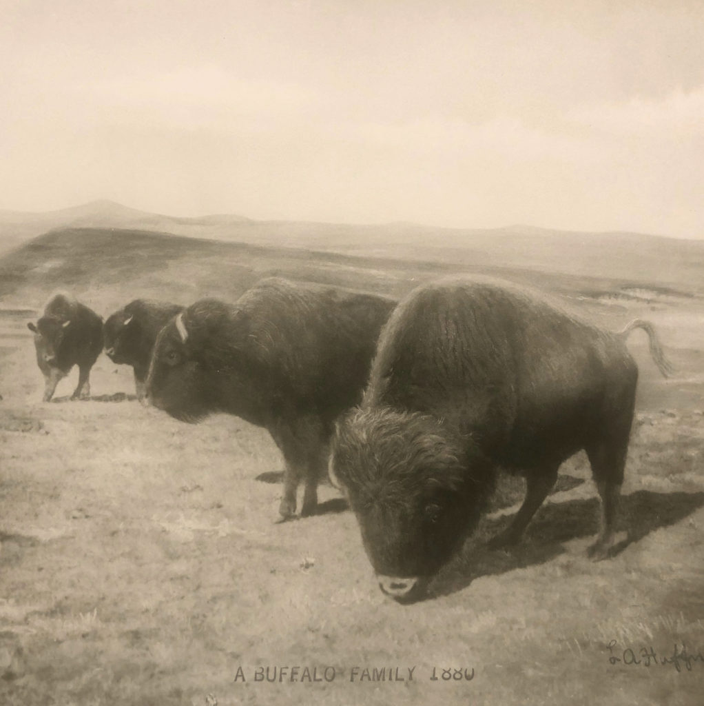 Vintage Photography for sale at Obscura Gallery in Santa Fe