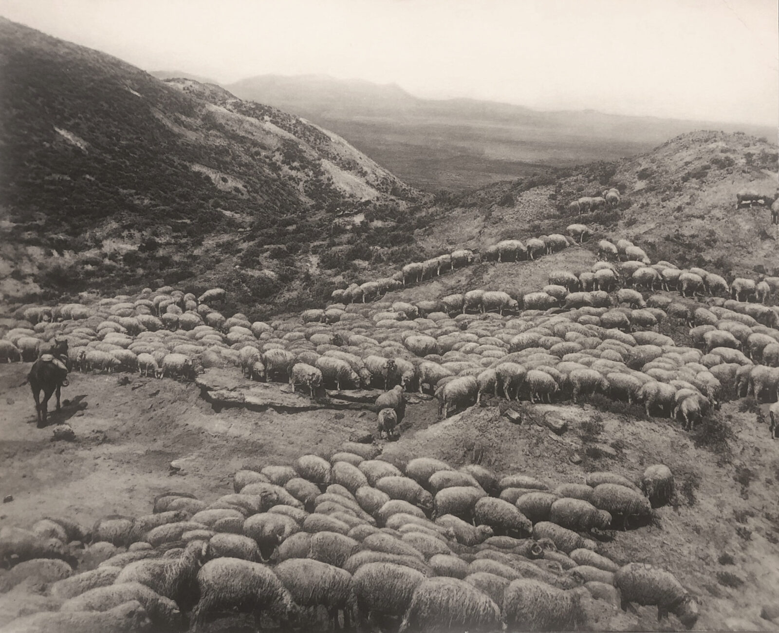 LA Huffman photographs for sale