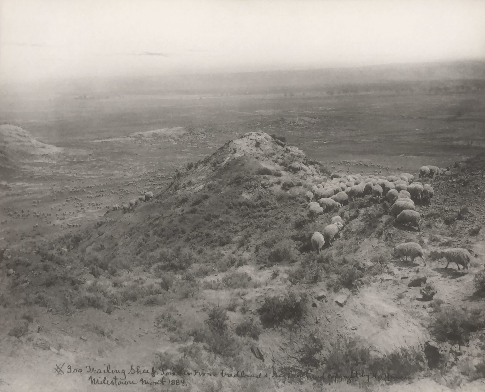 LA Huffman photographs for sale