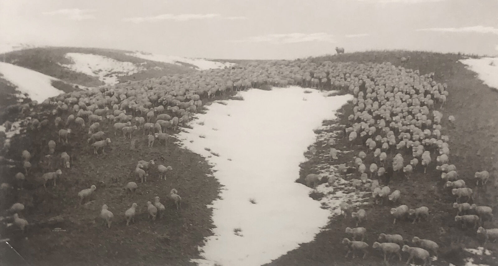 LA Huffman photographs for sale