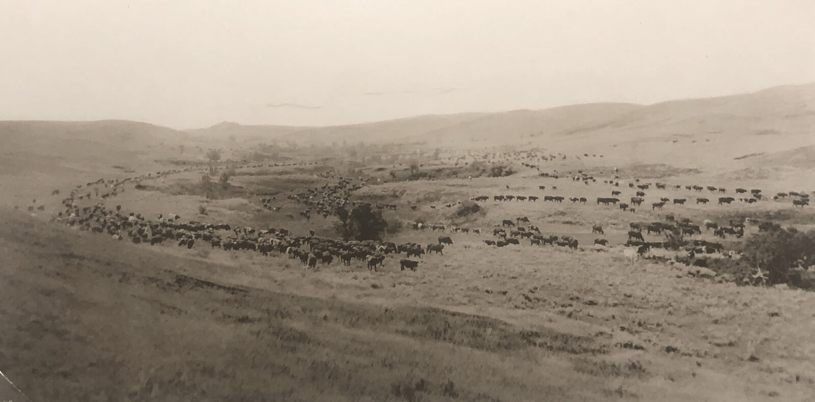 LA Huffman photographs for sale