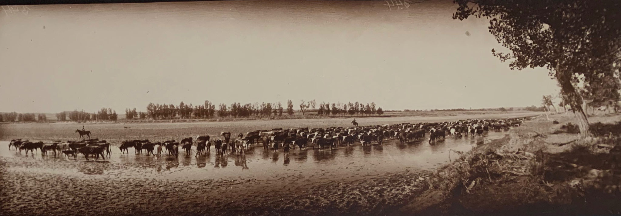 LA Huffman photographs for sale