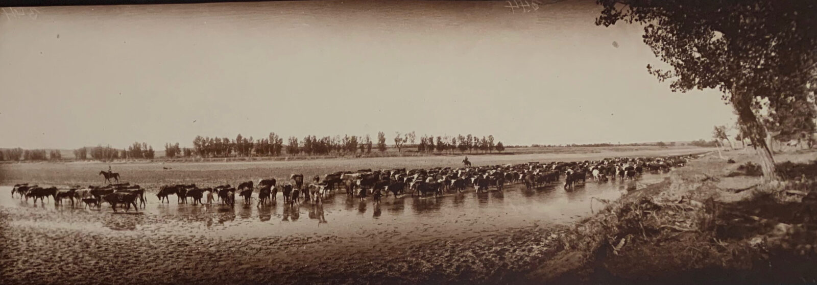 LA Huffman photographs for sale