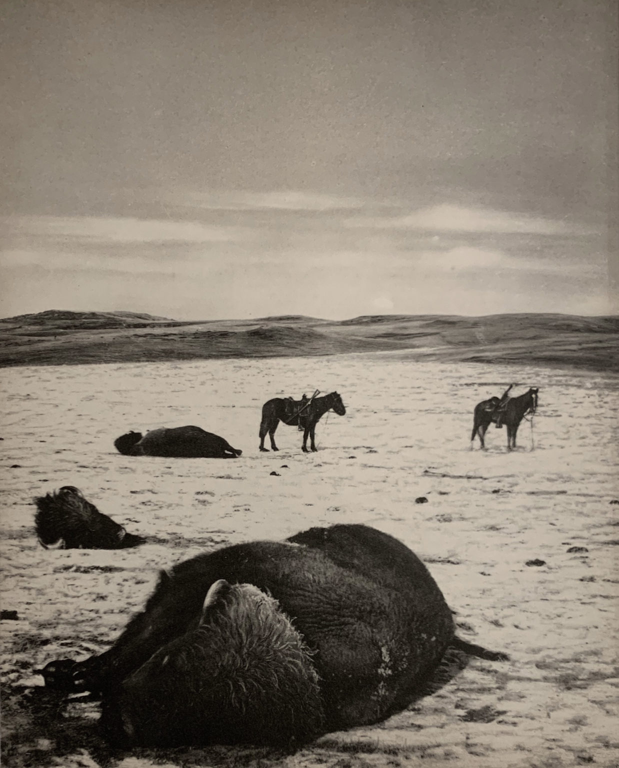 LA Huffman photographs for sale