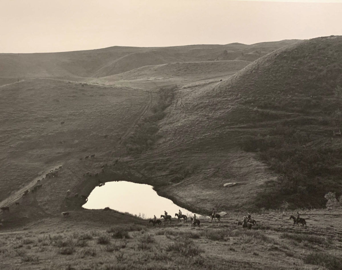 Kurt Markus Cowboy photograph