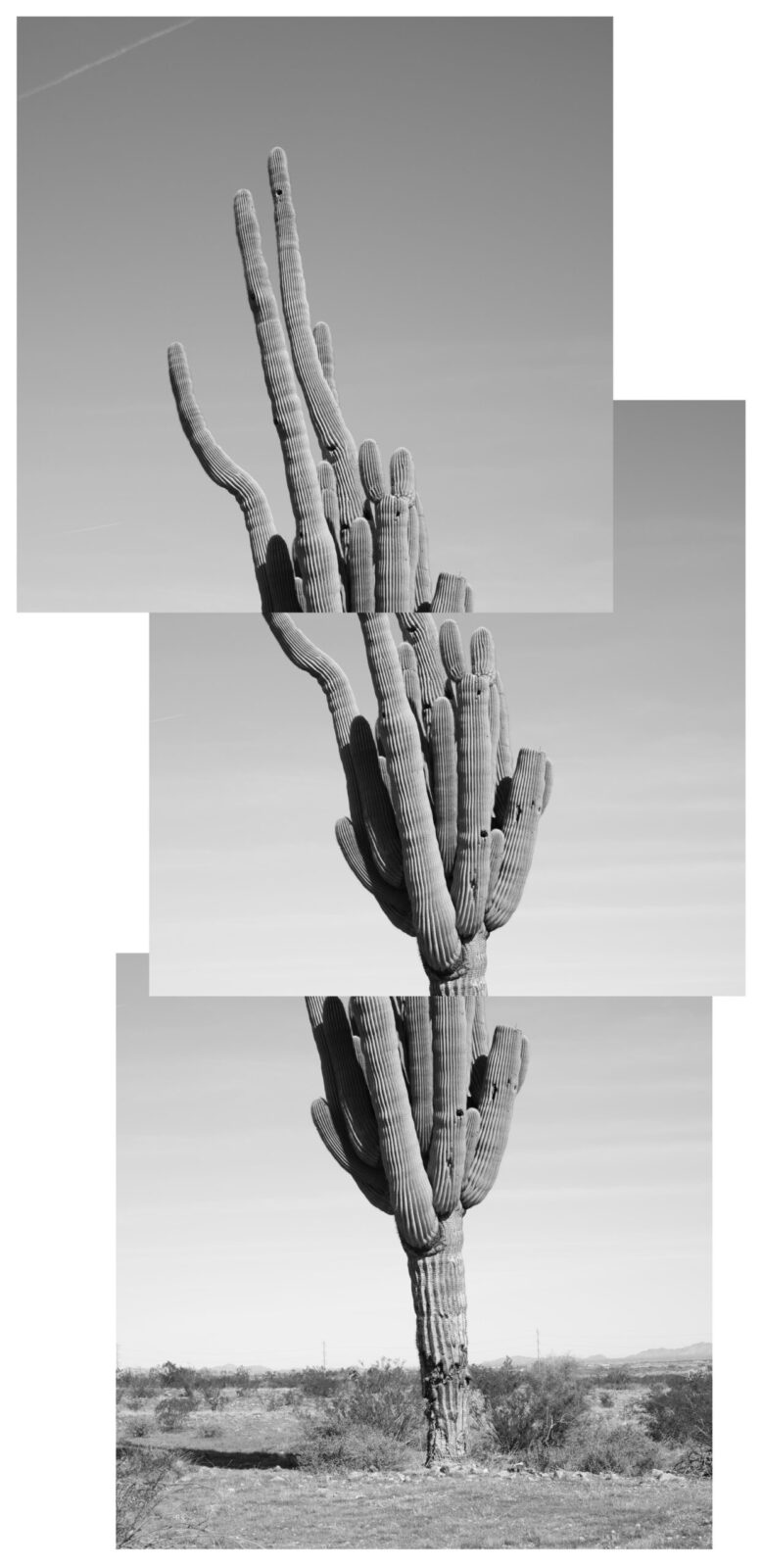 Michael Berman photographs available for purchase at Obscura Gallery