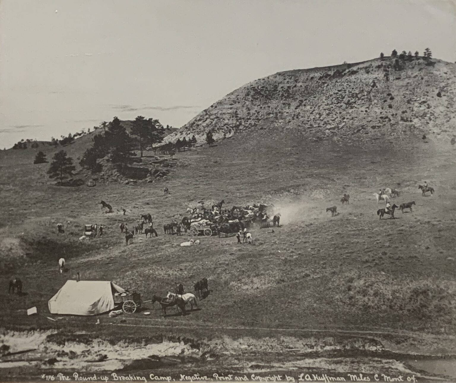 LA Huffman photographs for sale