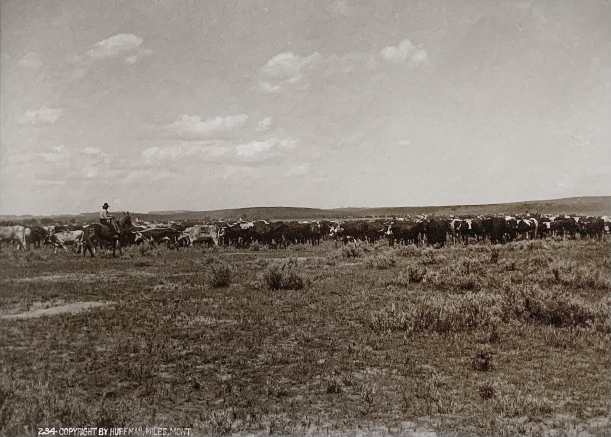 LA Huffman photographs for sale