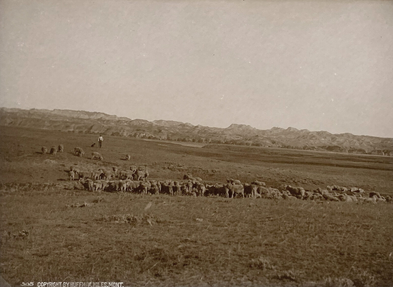 LA Huffman photographs for sale