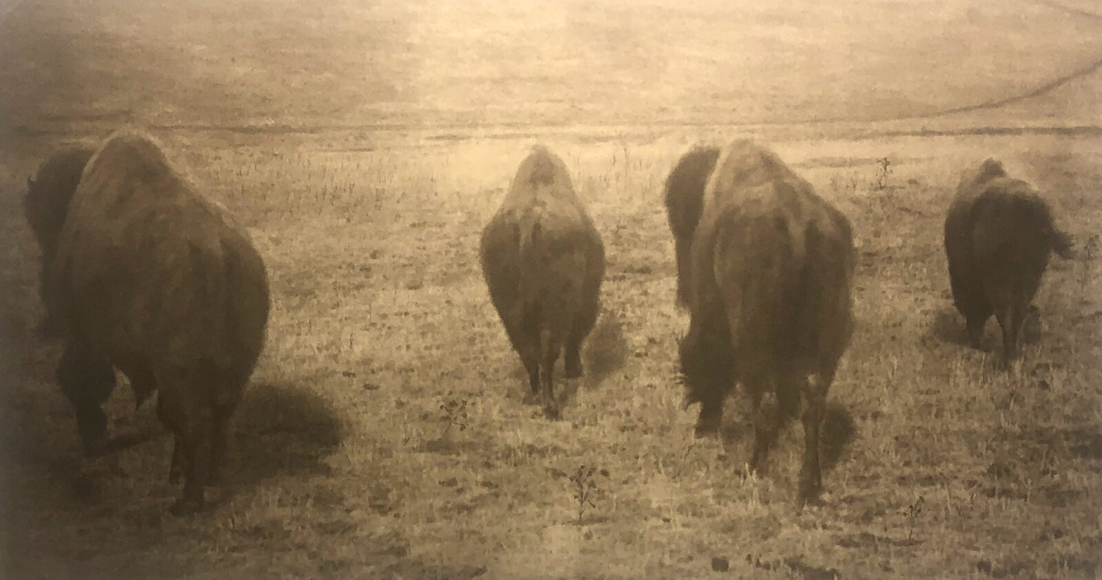 LA Huffman photographs for sale