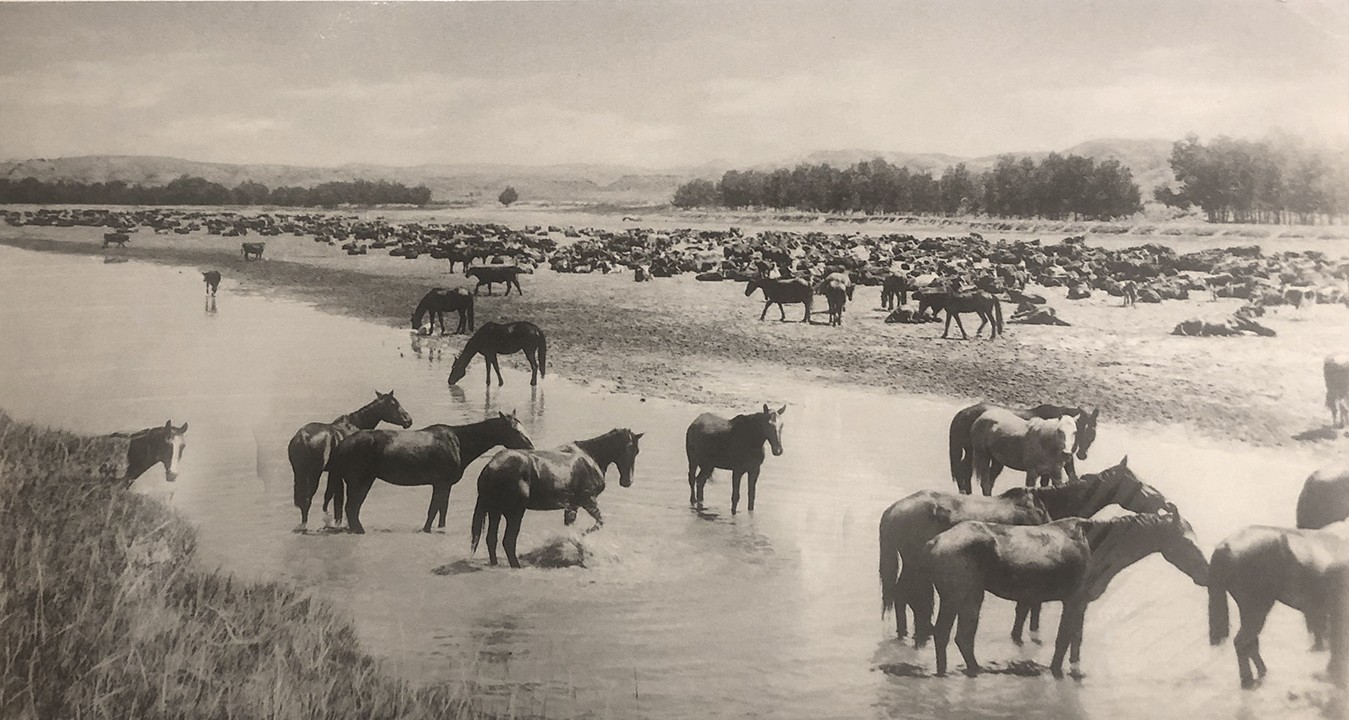 LA Huffman photographs for sale