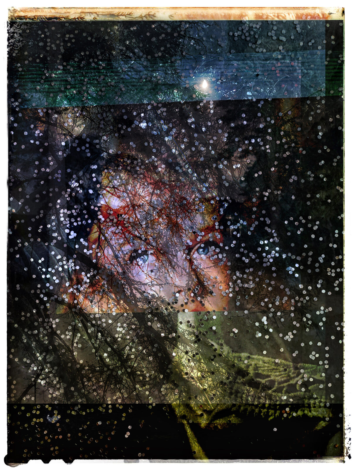 Aline Smithson Nocturne Series. Twilight Nocturne.