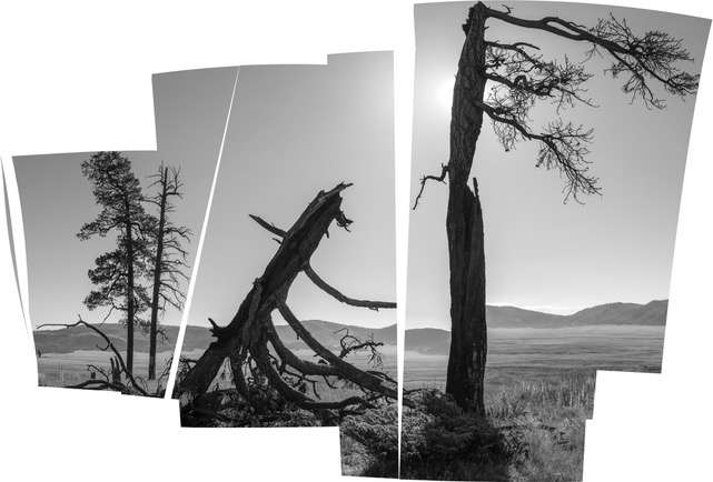 SAM ELKIND. gnarly, 2024