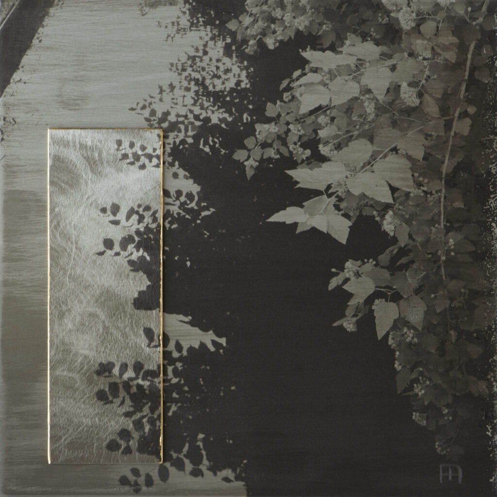 NICOLA HACKL-HASLINGER, Invitation