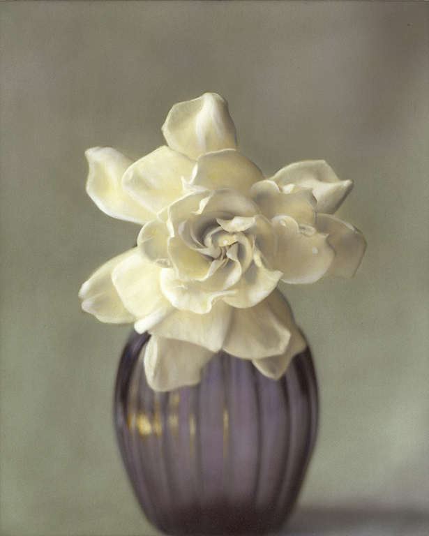 Brigitte Carnochan, Single Gardenia